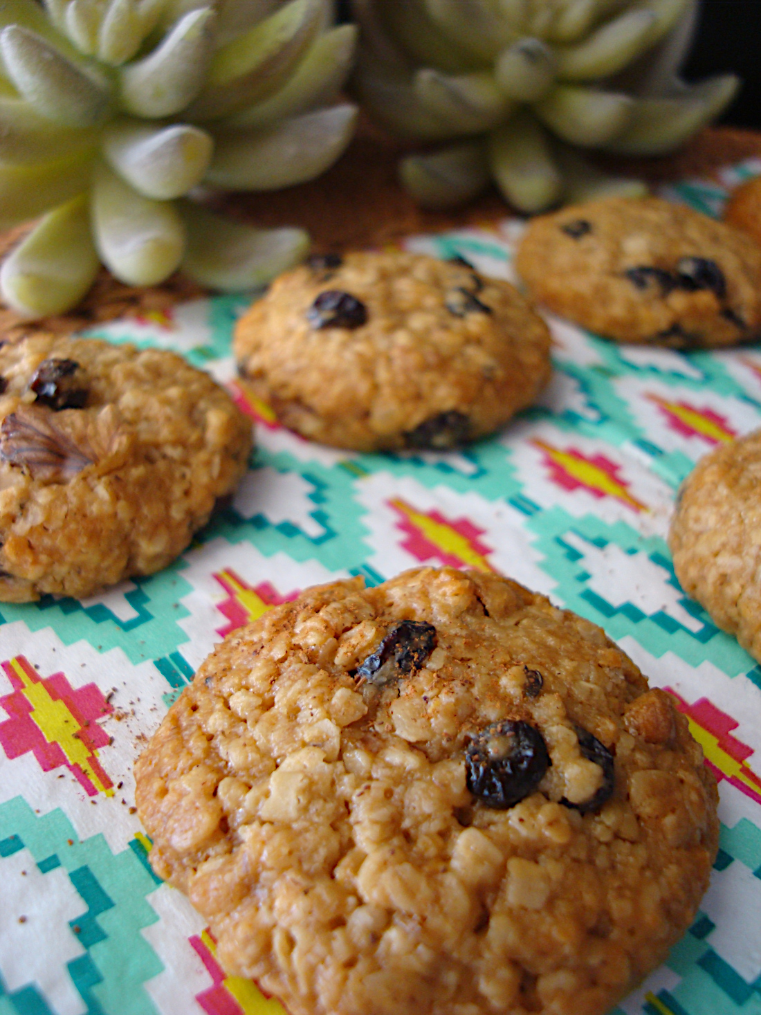 Μπισκότα μαστιχωτά με βρώμη - Miss Tasty